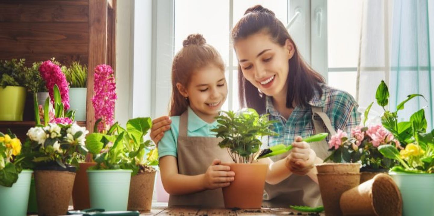 Leap Into Spring-Themed Educational Activities | Little Sunshine's